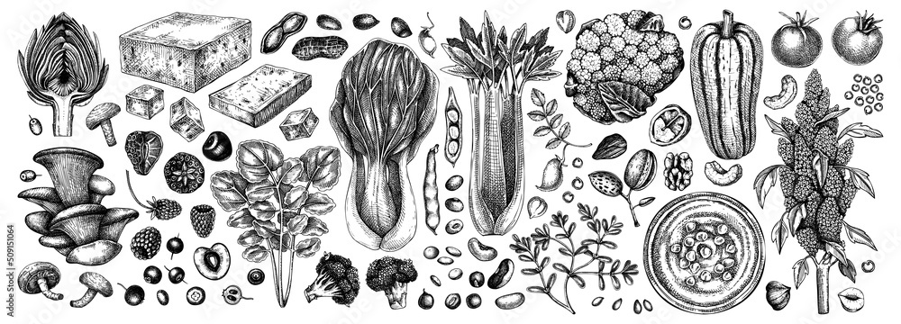 Vegan food illustrations set. Healthy food illustrations collection ...