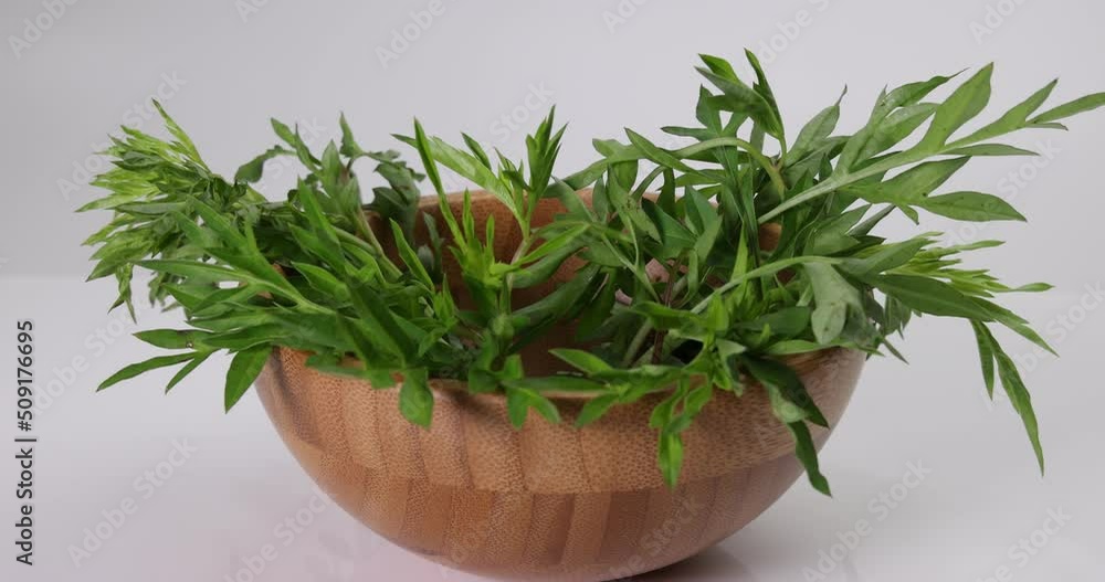 Malaysian Malay herbal leafy appetizer dish daun ulam raja selom lovage ...