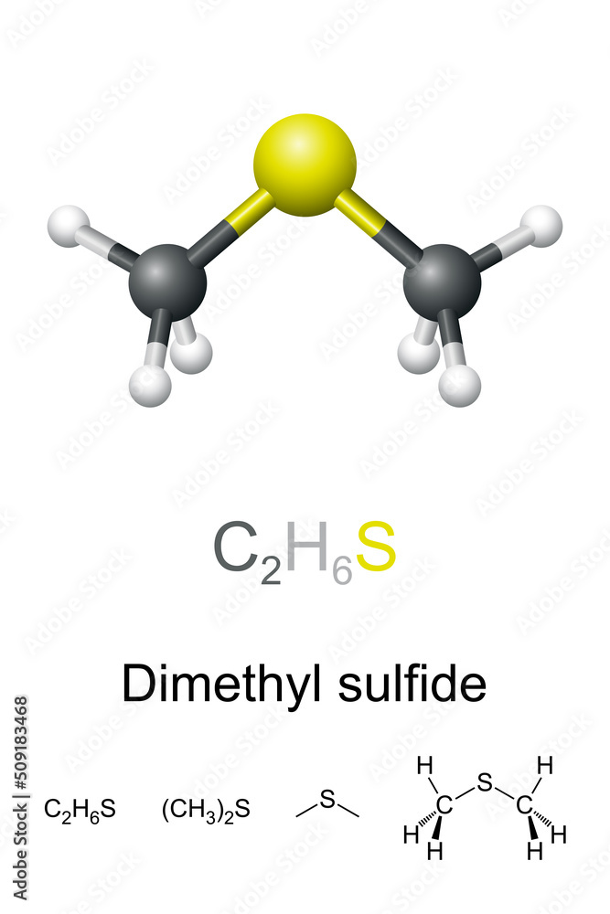 Dimethyl sulfide, DMS, chemical formula and molecule model ...