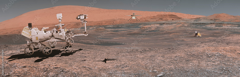Mars Polar Landing