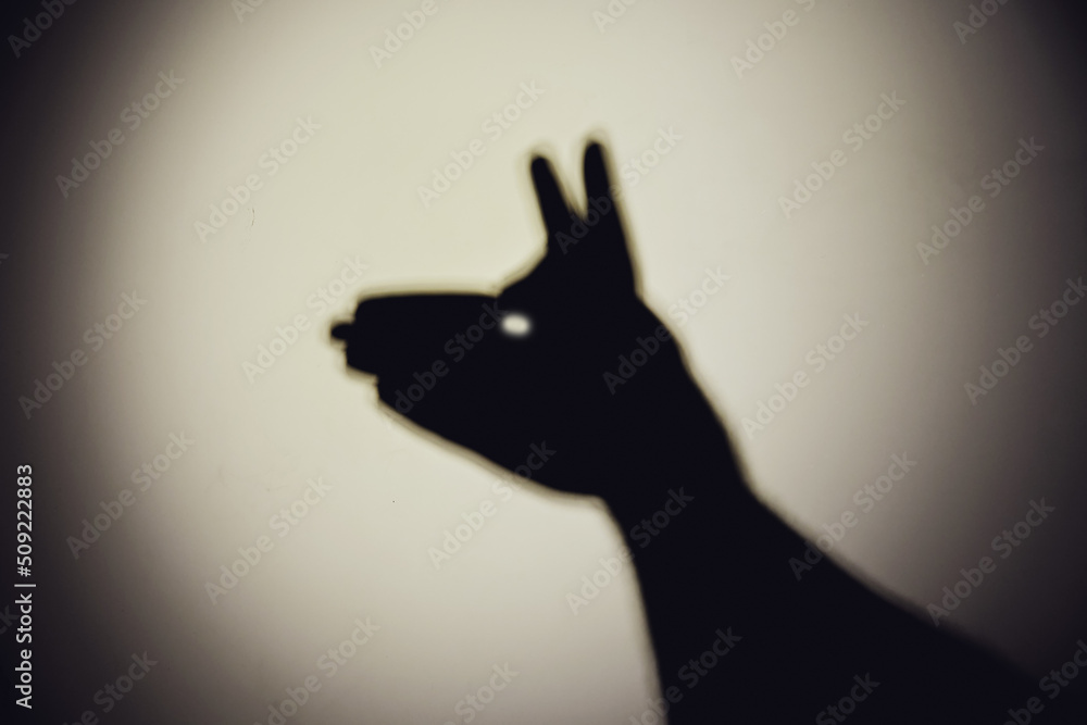 Shadow of a hand from the night light of a flashlight on a white wall ...