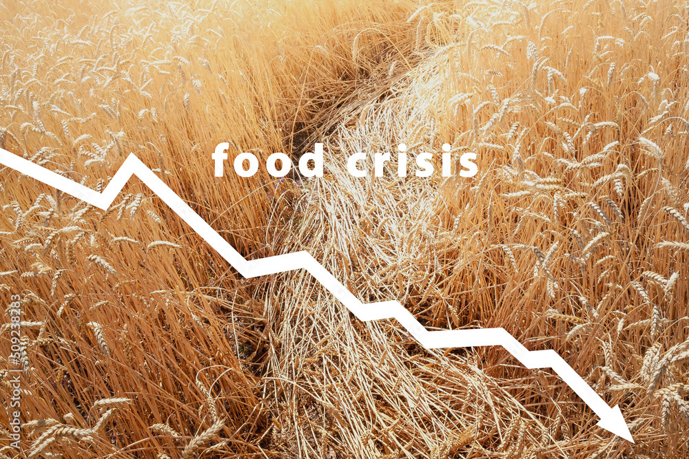 Food crisis. Cereal crop failure. Bread shortage. Russia's aggressive ...