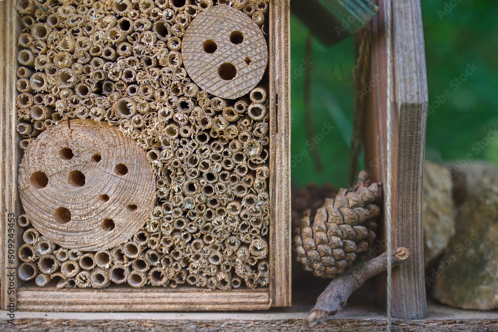 Detail of the insect hotel, also known as a bug hotel or insect house ...