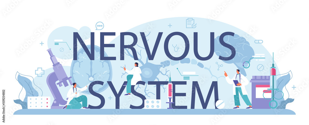 Nervous system typographic header. Doctor examine and treat human Stock ...