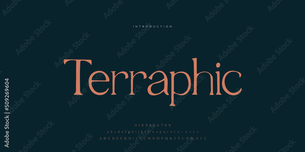 Royal, an elegant alphabet font and number. Premium uppercase fashion ...