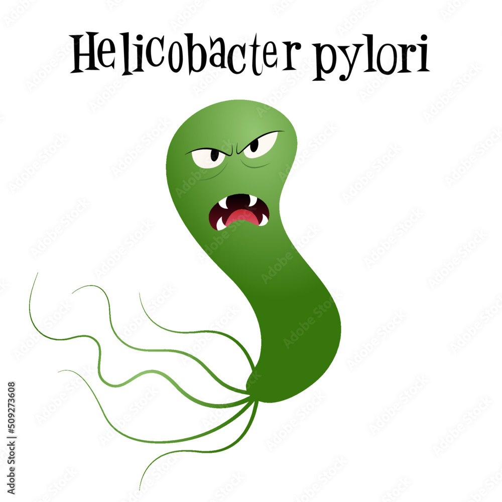 Vector Illustration Graphic of Cartoon Helicobacter Pylori Stock Vector ...