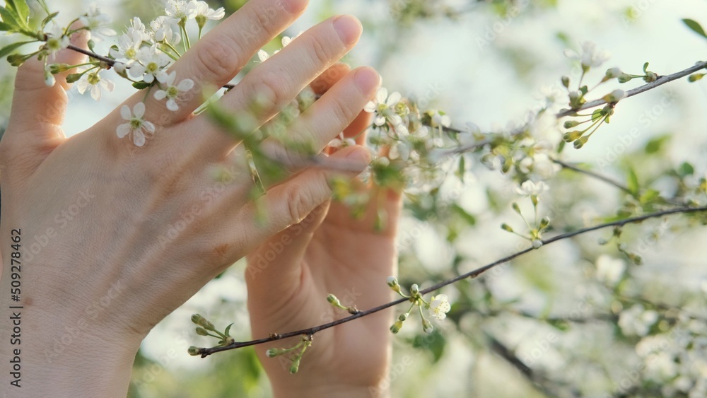 4K Close-up of a woman's hand gently touching a branch with white ...