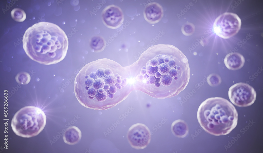 3d rendering of Human cell or Embryonic stem cell microscope background ...