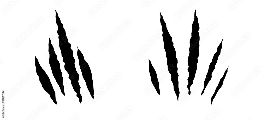 Cat scratches set. Black claws animal scratch, Torn paper. Cat claws ...