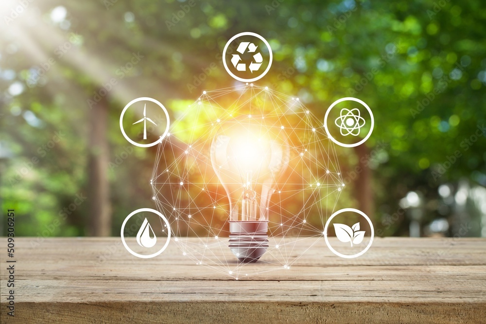 Green forest with moss and grass with lightbulb. Symbols of sustainable ...