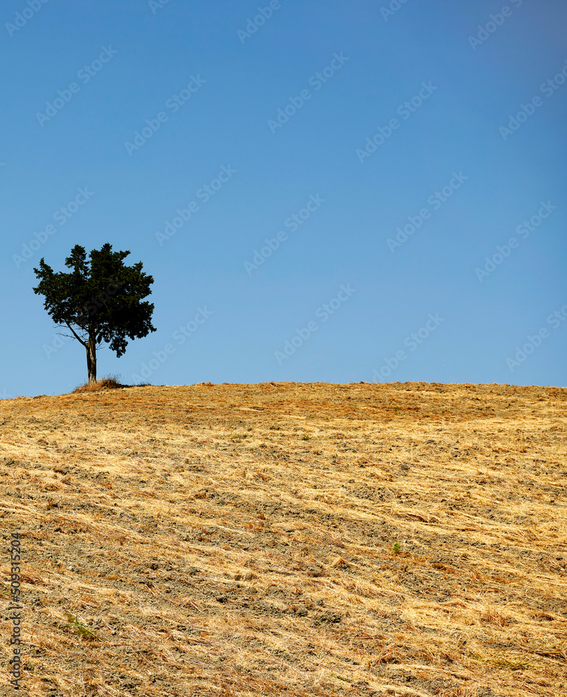 collina Stock Photo | Adobe Stock