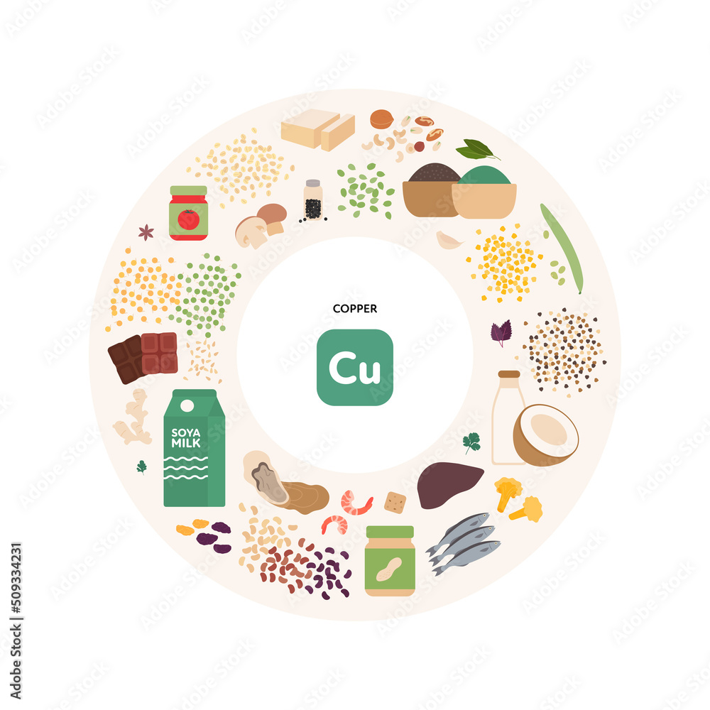 Healthy food guide concept. Vector flat illustration. Infographic of ...