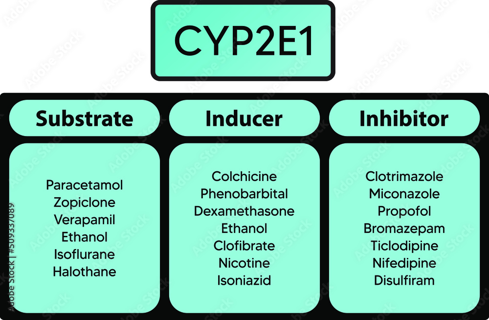 CYP2E1 Cytochrome p450 enzyme pharmaceutical substrates, inhibitors and ...