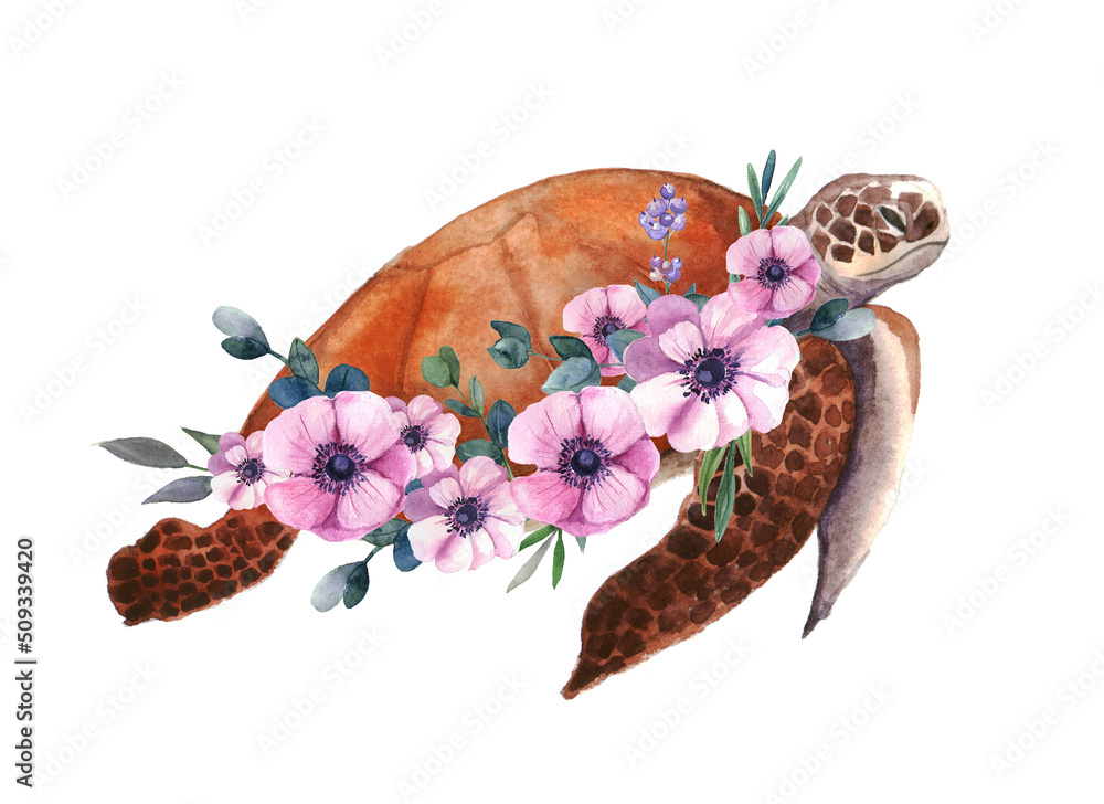 Watercolor turtle with flowers. decoration graphic turtle illustration ...