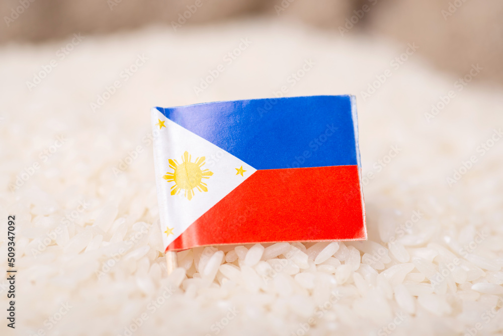 Flag of Philippines on grain of rice. Concept of growing rice in ...