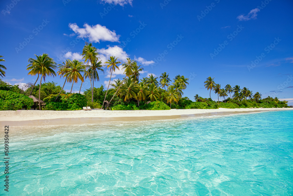 Beautiful palm trees on tropical island beach on background blue sky ...
