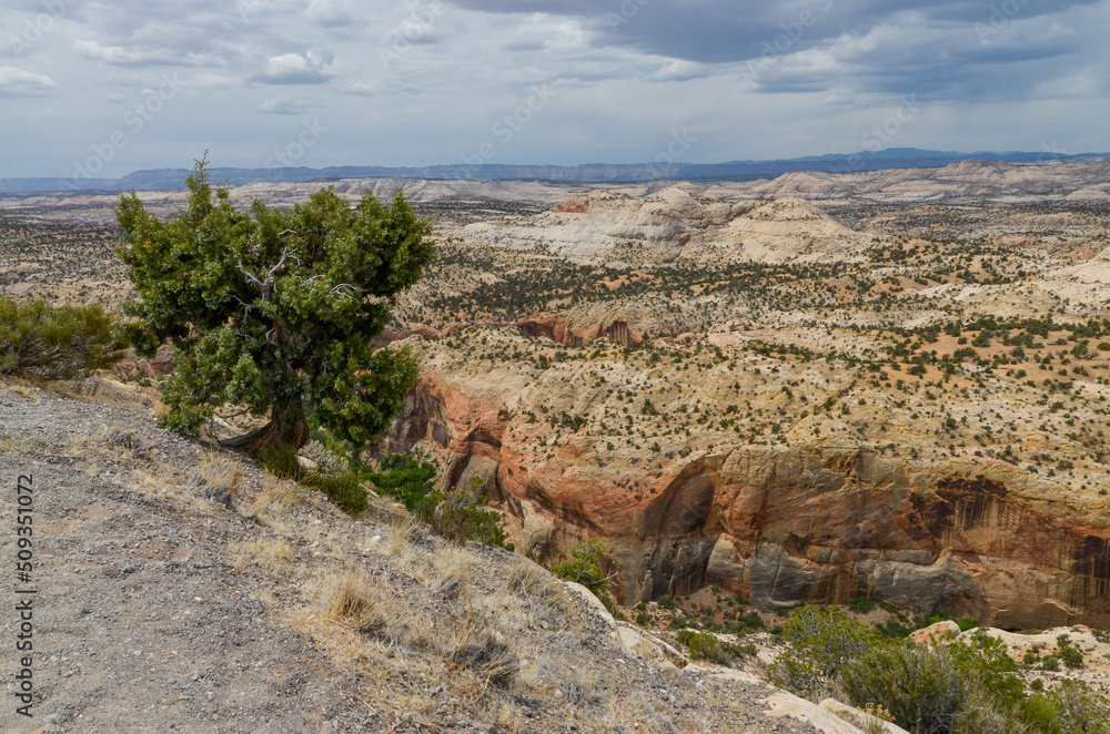 Calf Creek Canyon view from a stretch of Utah Scenic Byway Route 12 ...