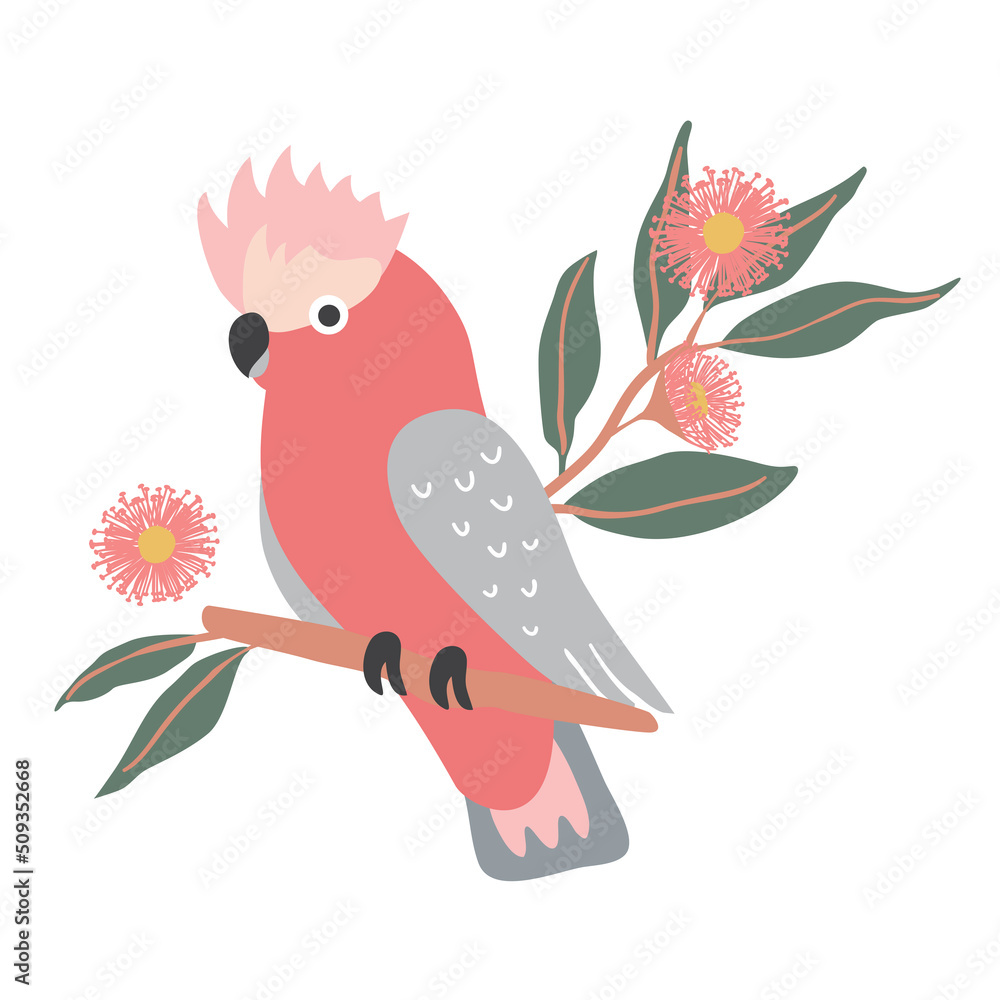 Australian Pink Parrots
