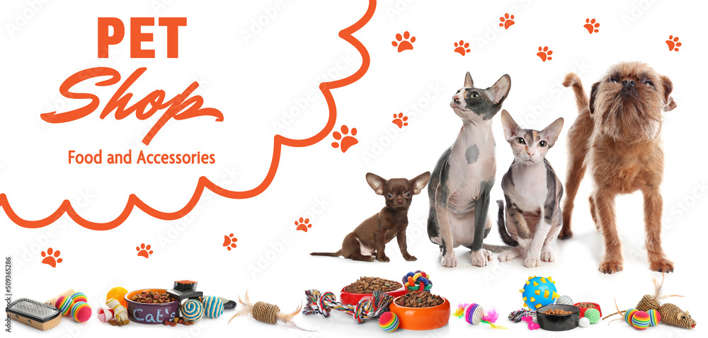 Advertising banner design for pet shop. Cute dogs, cats and different ...