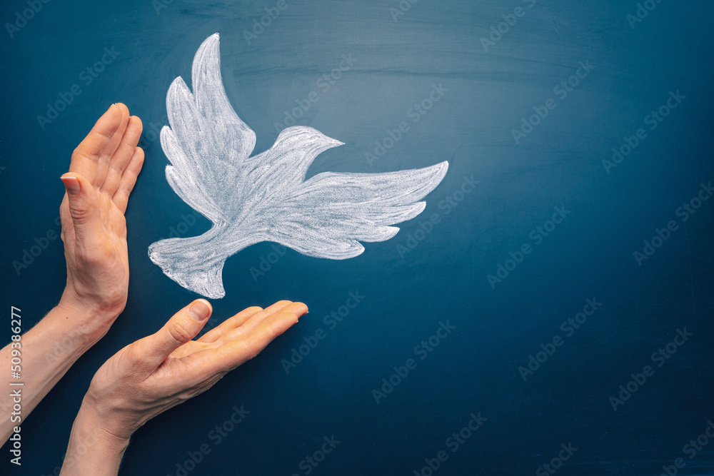 Woman praying and free bird. Hope concept. Flying dove. Chalk Hand ...