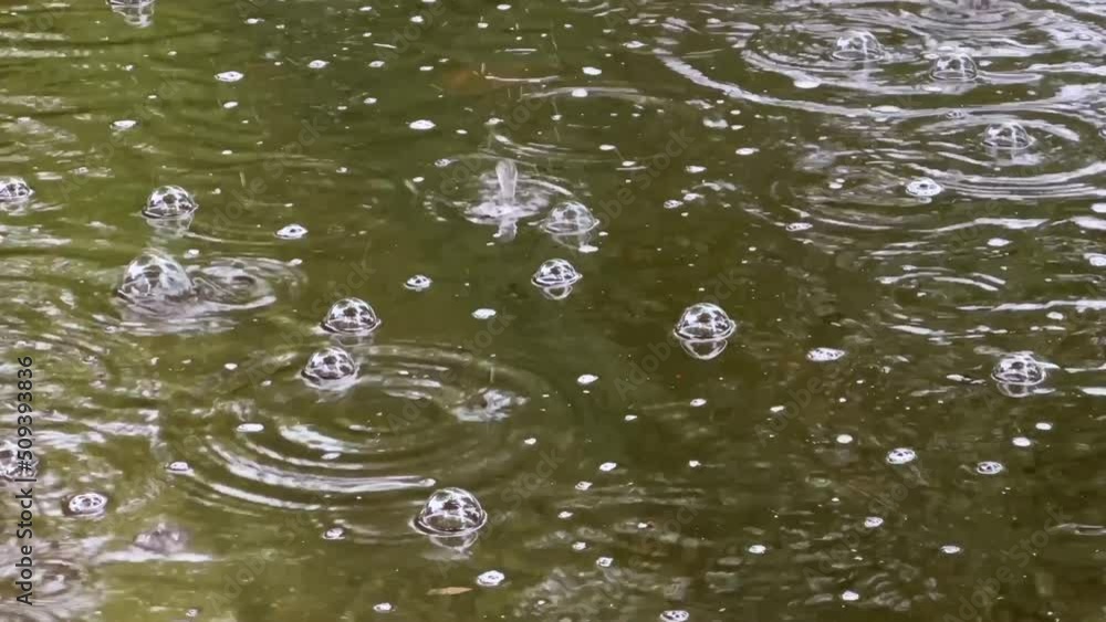 4K HD video of bubbles forming in water in the street as rain hits it ...