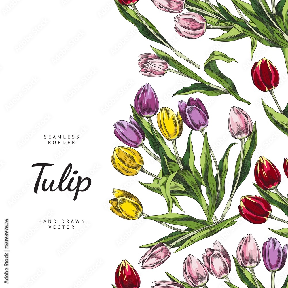 Seamless border or frame edging with tulips sketch vector illustration ...