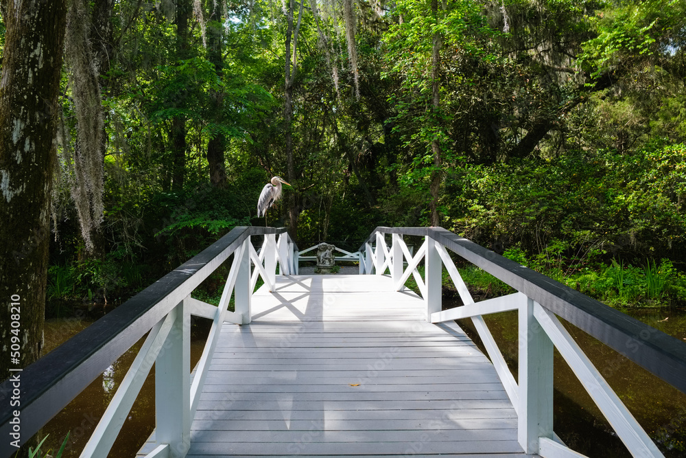 Beautiful white pedestrian bridge across a river in the popular ...