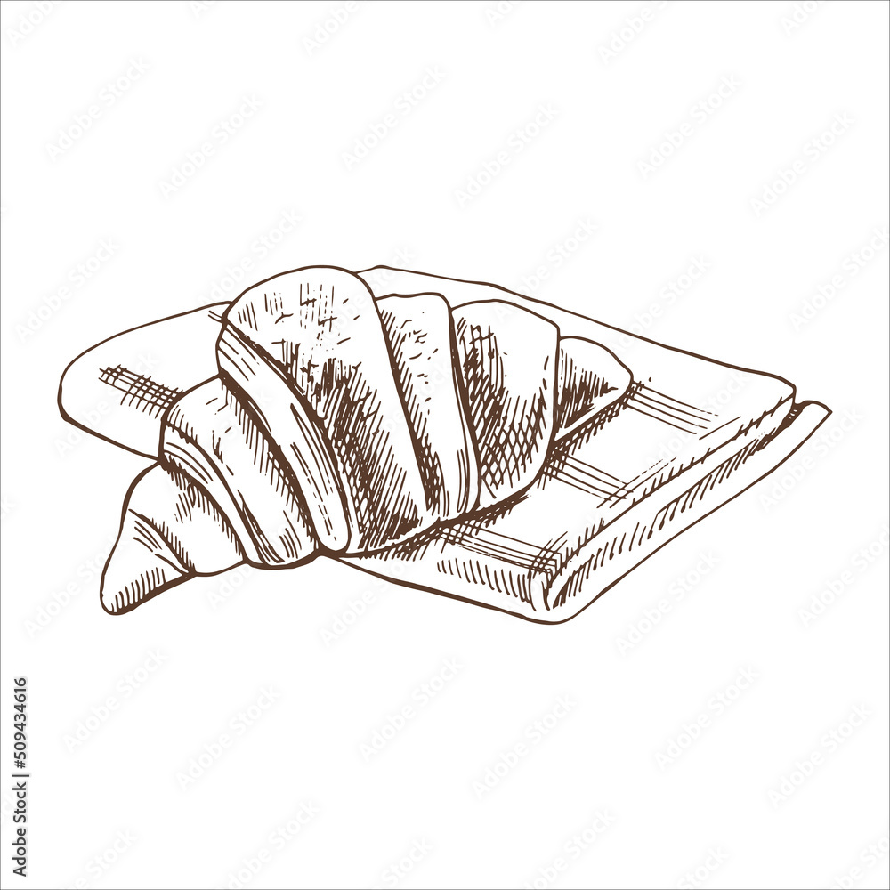Vector hand drawn illustration of croissant. Brown and white bread ...