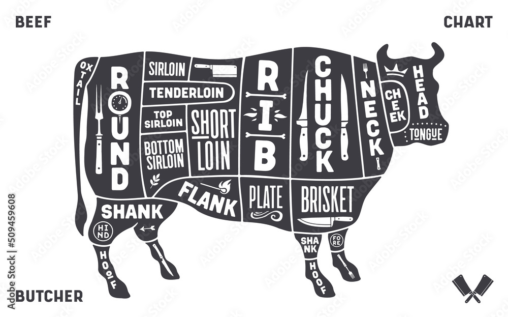 Cow, beef. Scheme, diagram, chart beef, butcher guide. Vintage retro ...