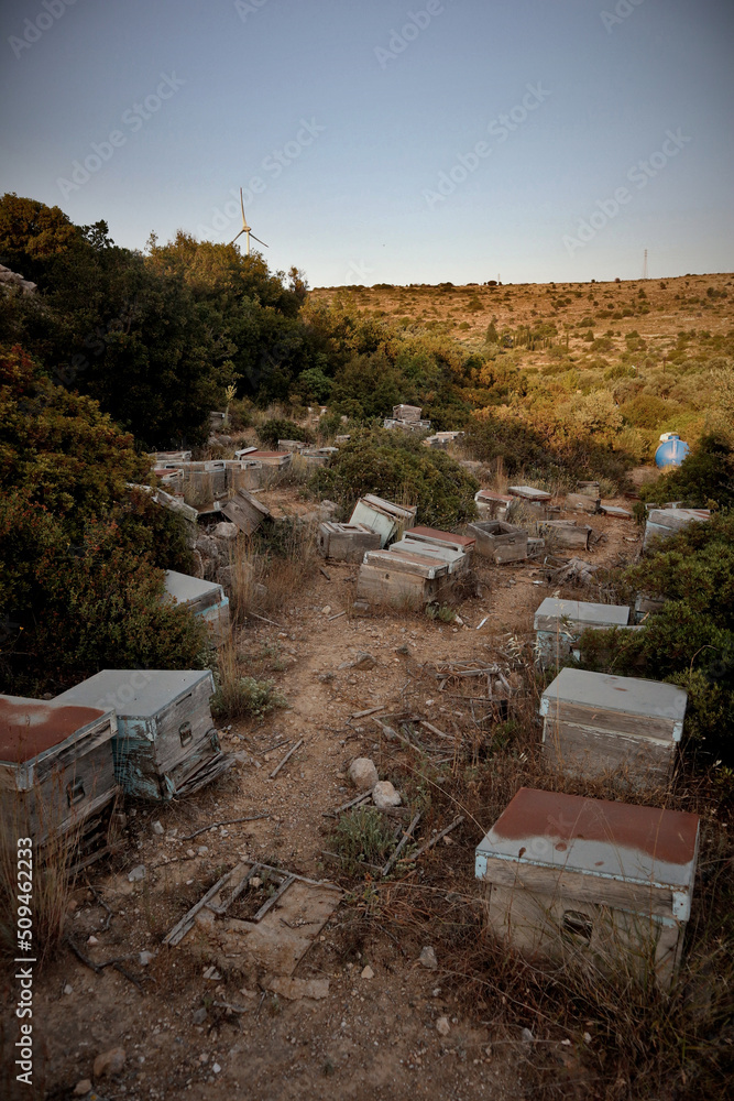 A bee graveyard - The abandoned hives of a Turkish beekeeper on the ...
