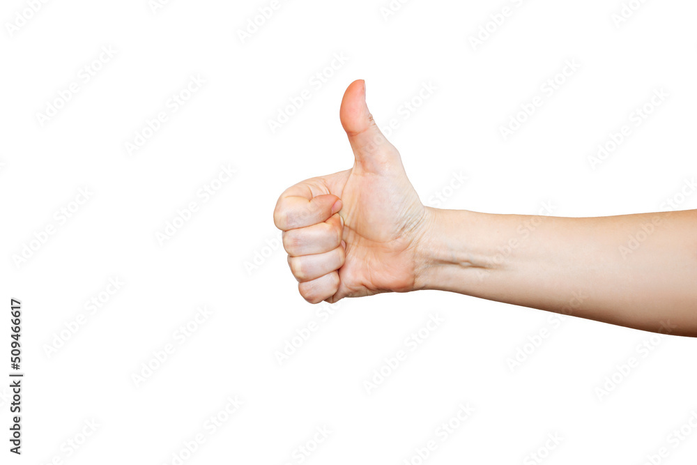 Female hand showing the thumb up gesture isolated on a white background ...