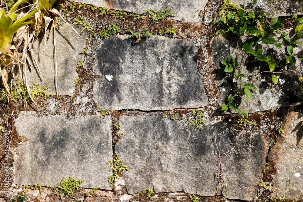 Stone texture. White with holes. Top view. Closeup Stock Photo | Adobe ...