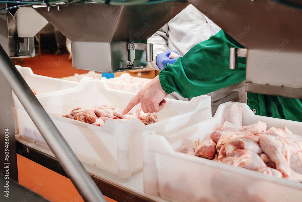 Containers on a conveyor line with raw chicken drumstick.Factory for ...