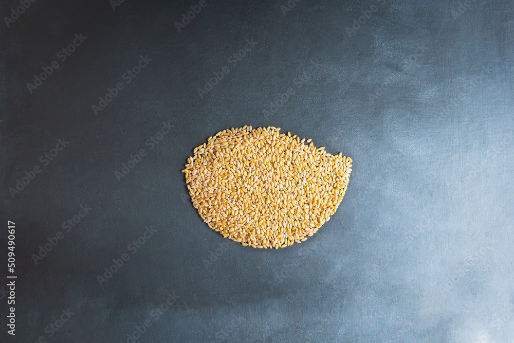 wheat grain half full chart pie shape concept flat overhead Stock Photo ...
