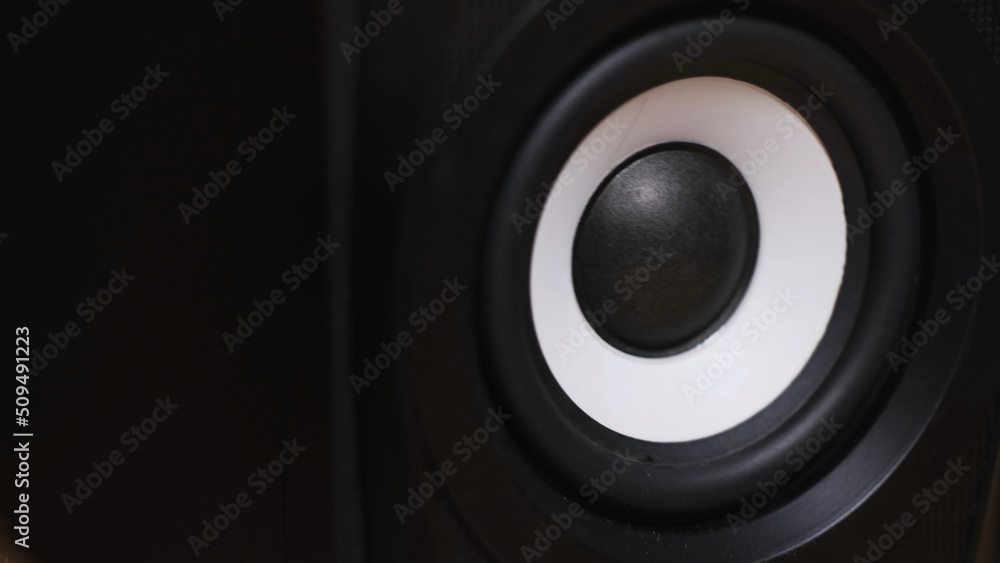 Vibrating bass speaker membrane with white ring. Concept. Close up of ...