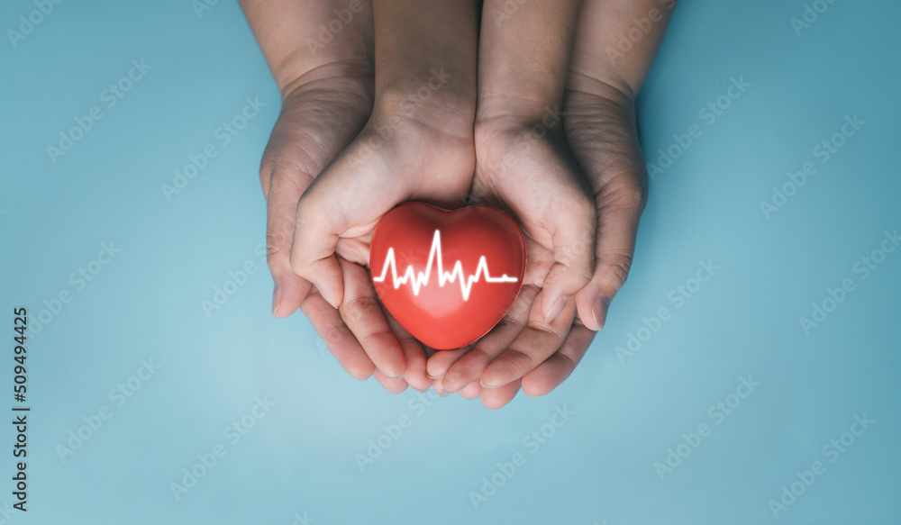 Adult and child hands holding red heart on aqua background, heart ...