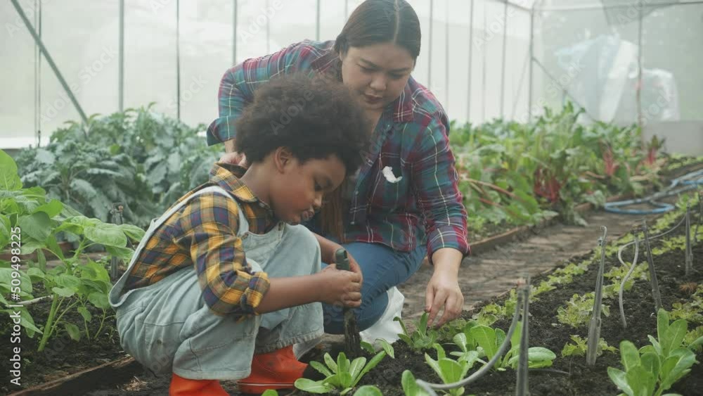 Video „Happiness family with mother and children using shovel dig soil ...