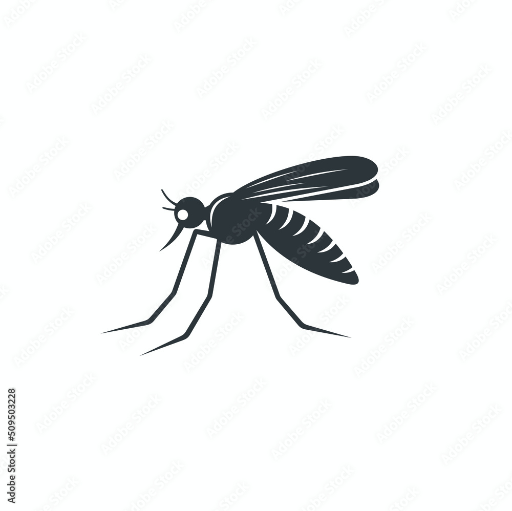 illustration of mosquito, vector art. Stock Vector | Adobe Stock