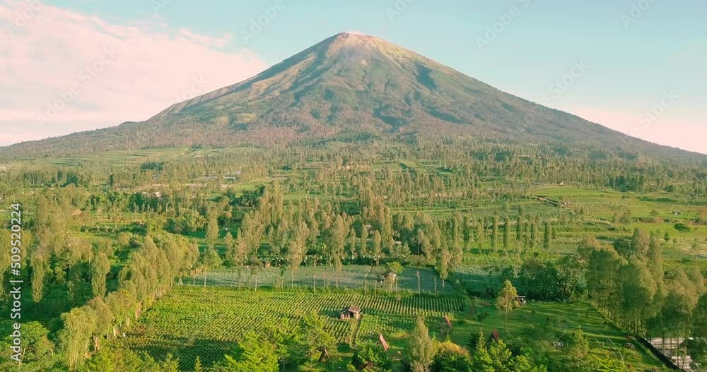 Vidéo Stock Mount Sindoro with rural view and lush trees in tobacco ...