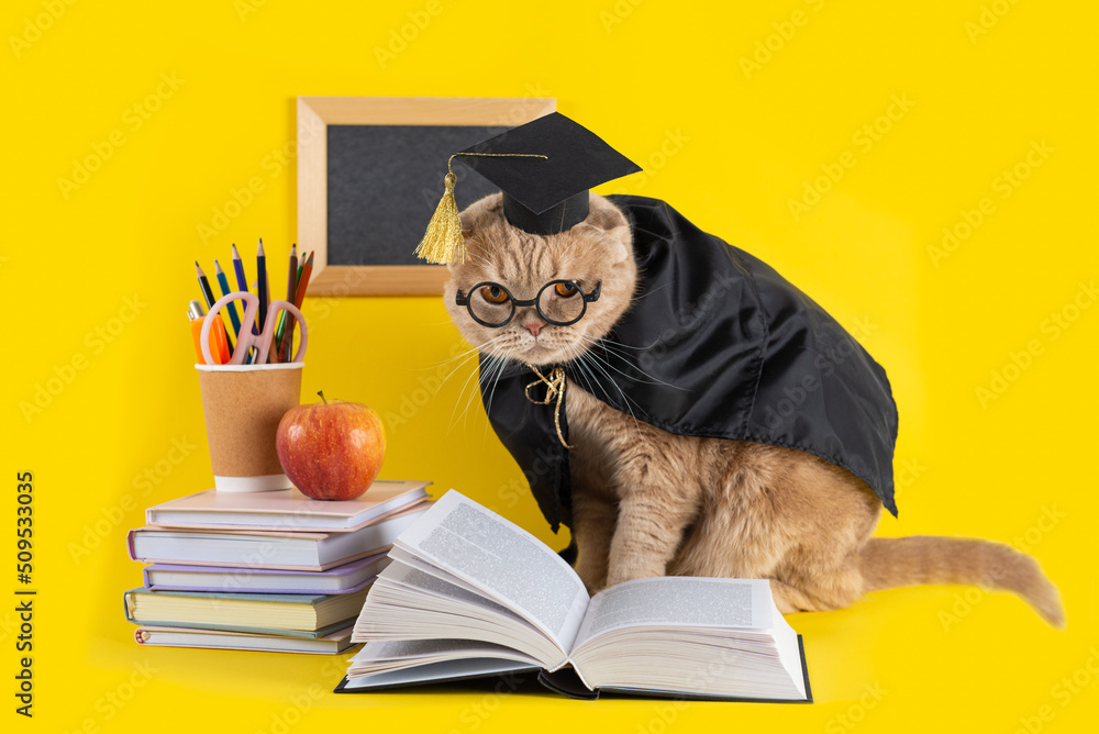 Welcome back to school poster. Funny cat student reading a book on ...