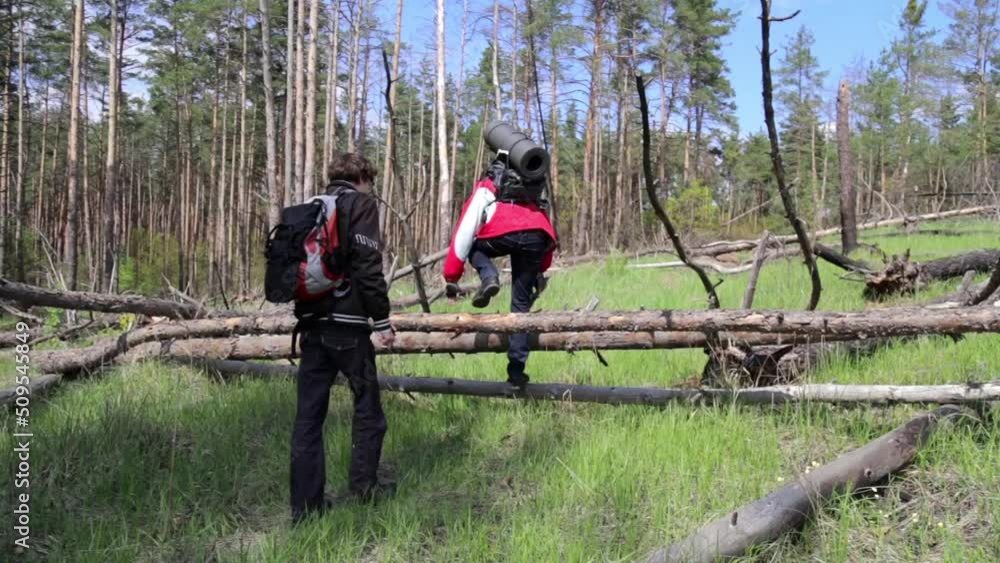 Stockvideo Team orienteering in the forest. Teamwork concept. A team of ...