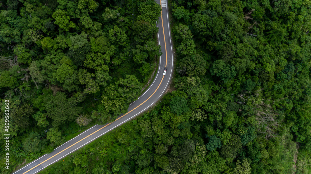 Aerial top view of the the road, Aerial view tropical rain forest with ...