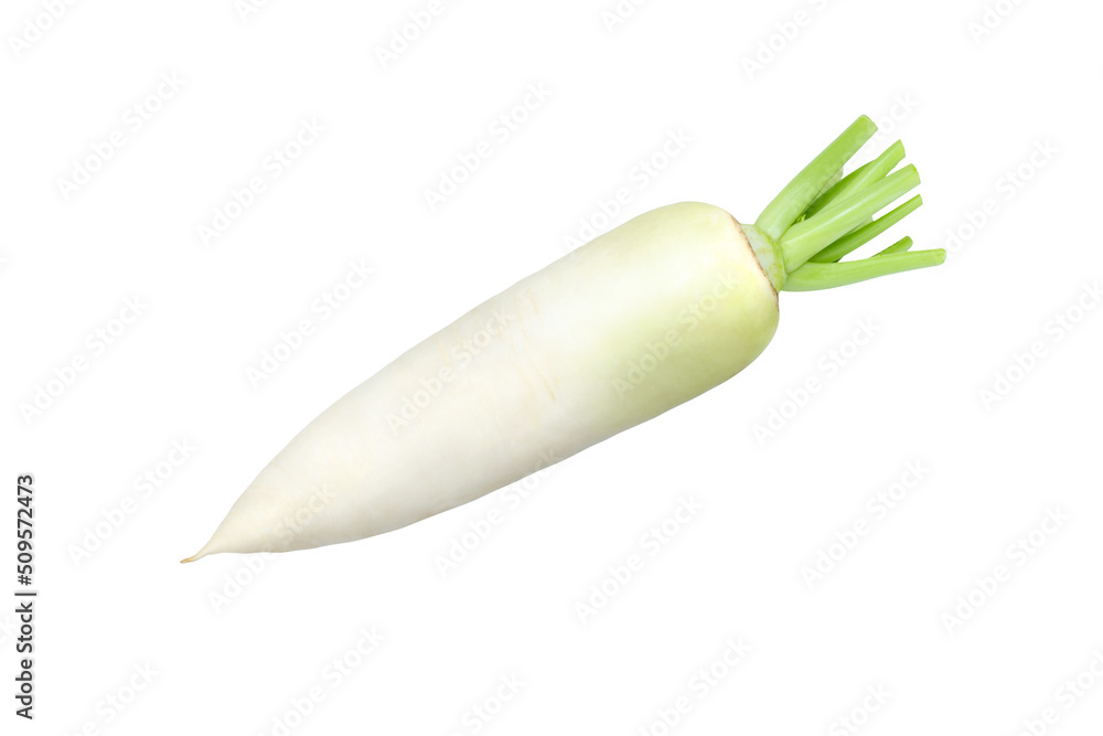 White Daikon radish with green leaf isolated on white background. Stock ...