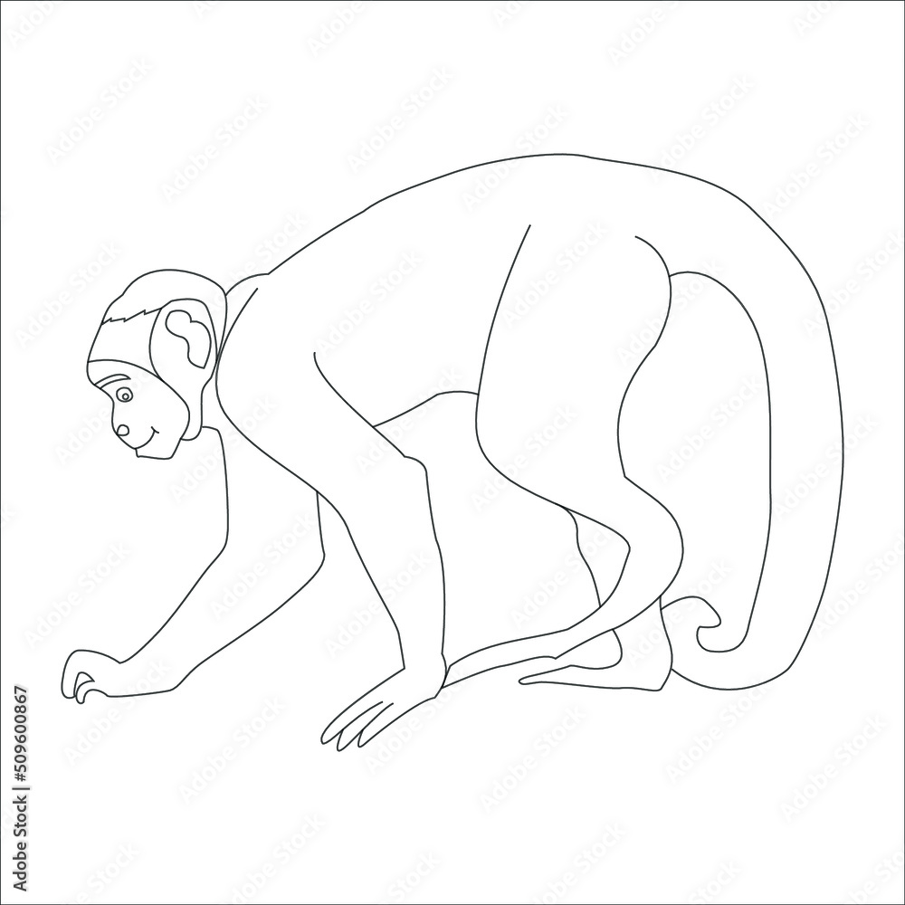 line art Vector monkey, illustration coloring page of happy monkey for ...