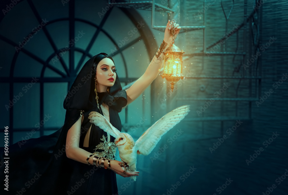 Gothic Fantasy Woman Witch In Black Dress Cape Hood Girl Princess Dark Magician Holds Vintage