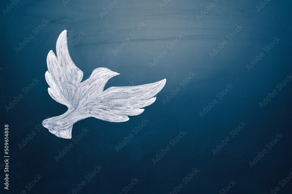 Purity Symbol Christianity