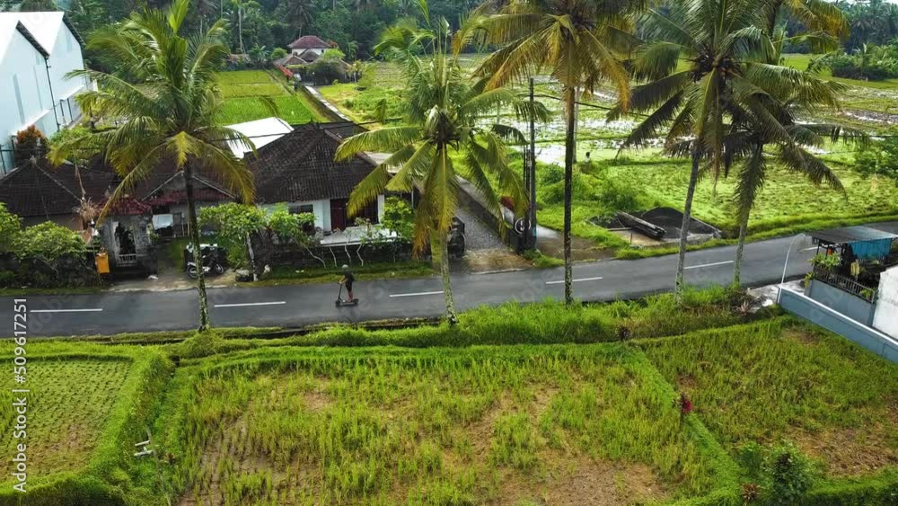 Amazing cinematic Ubud, Bali drone footage with exotic rice terrace ...