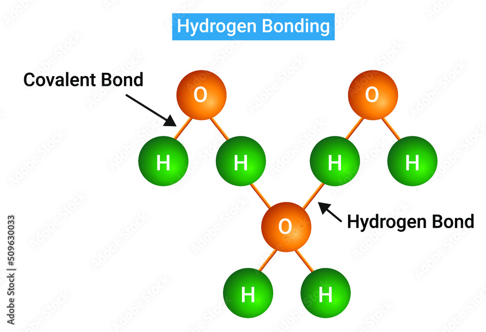 A hydrogen bond (or H-bond) is a primarily electrostatic force of ... A hydrogen bond (or H-bond) is a primarily electrostatic force of ...