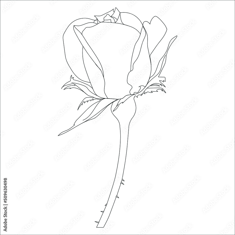 Line art coloring book page with roses and leaves. Vector illustration ...