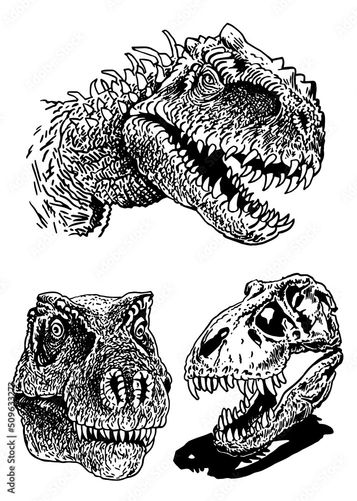 Graphical set of dinosaur portraits isolated on white. Vector heads and ...